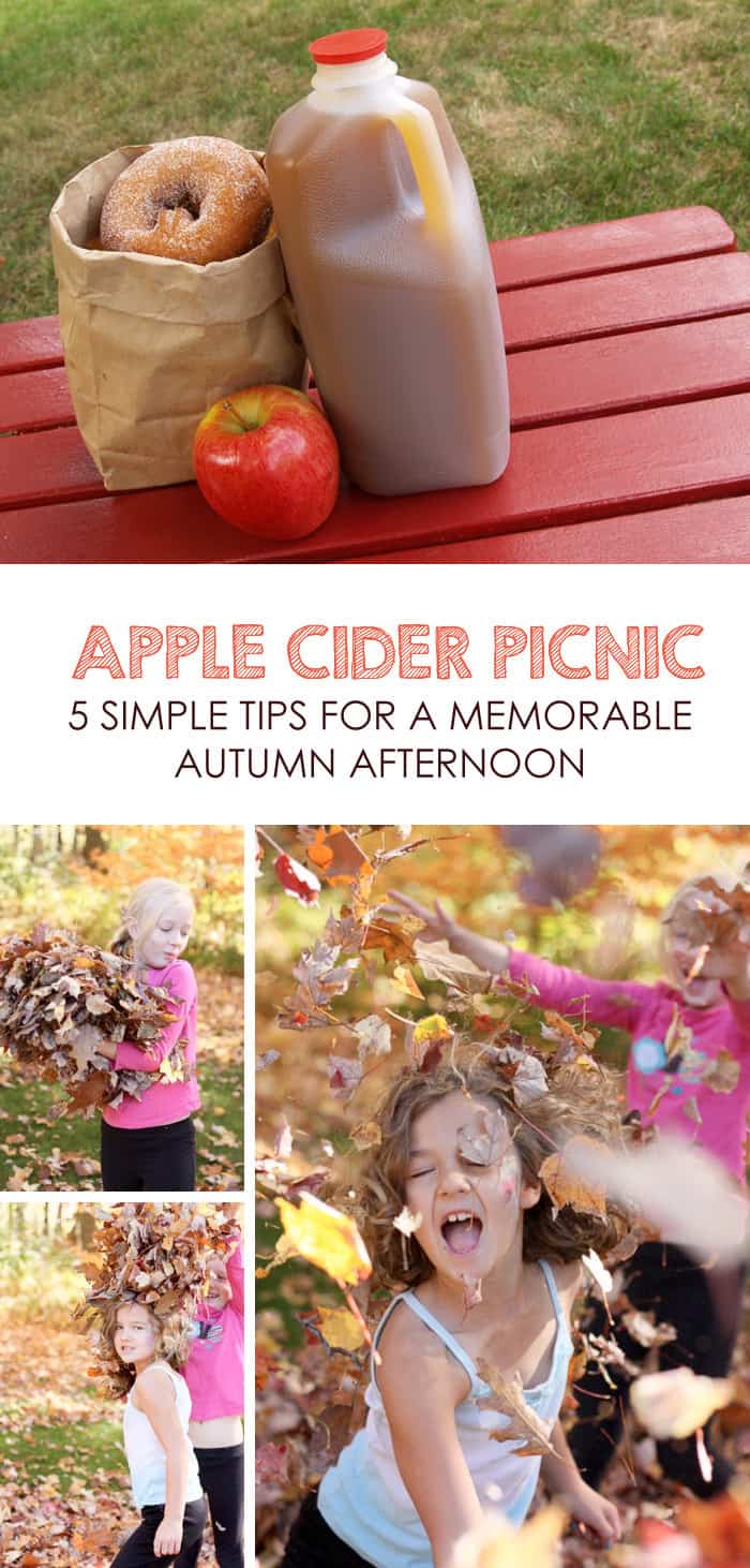 Autumn Apple Cider Picnic
