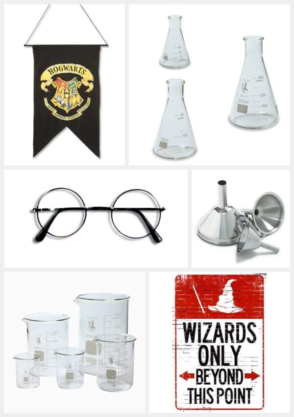 Harry Potter Potions Lab + Dragon's Blood Recipe - Lasso The Moon